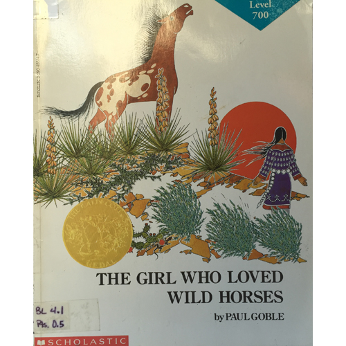 The Girl Who Loved Wild Horses - The Learning Basket