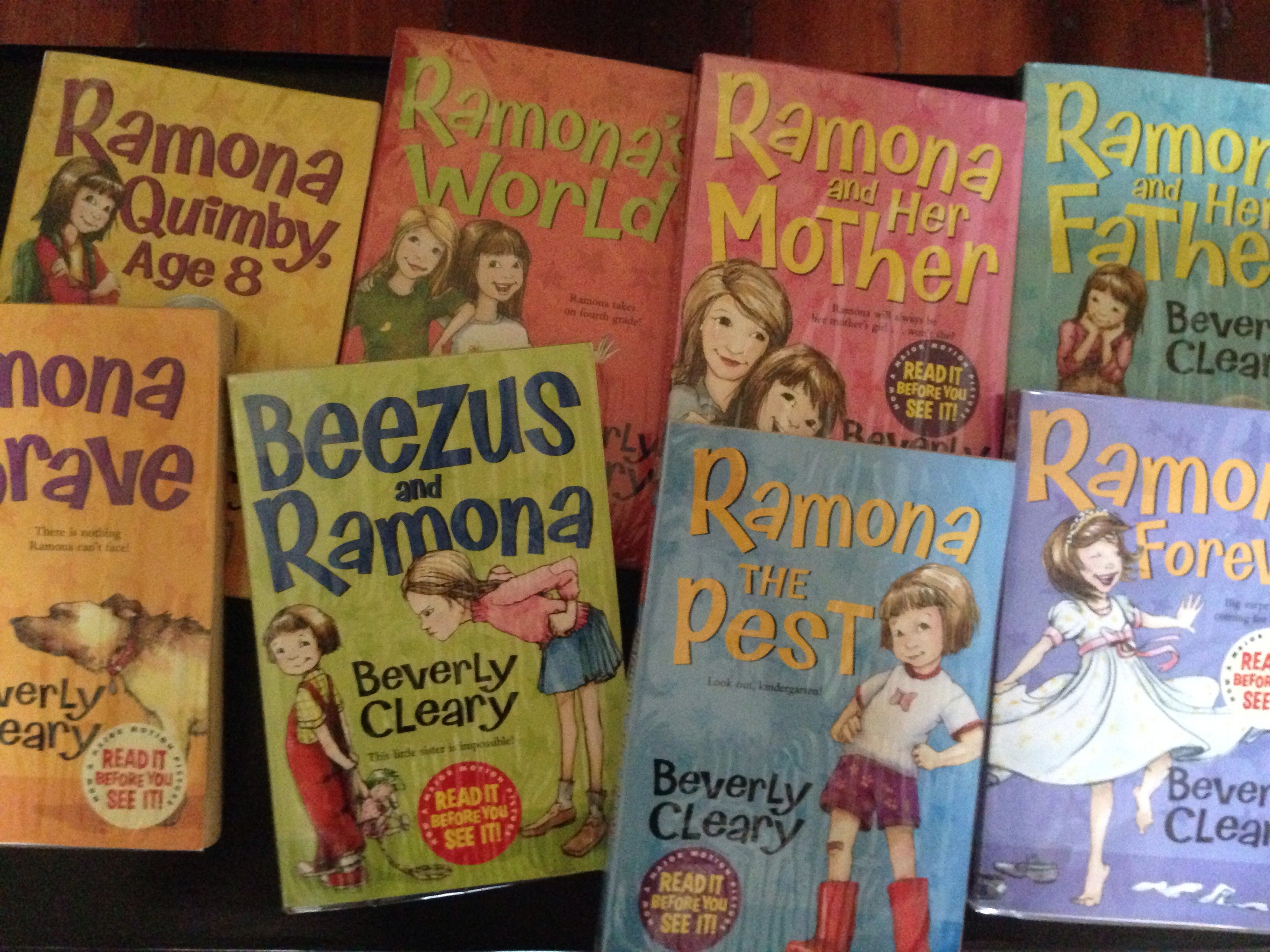 Books Under a 6-Year-Old's Bed: Series Books - The Learning Basket